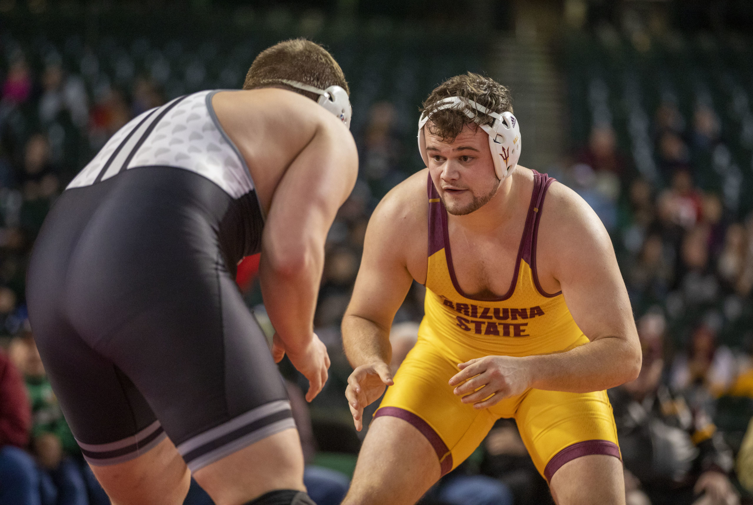 ASU Wrestling Gallery: Duals on the Diamond. - Cronkite Sports